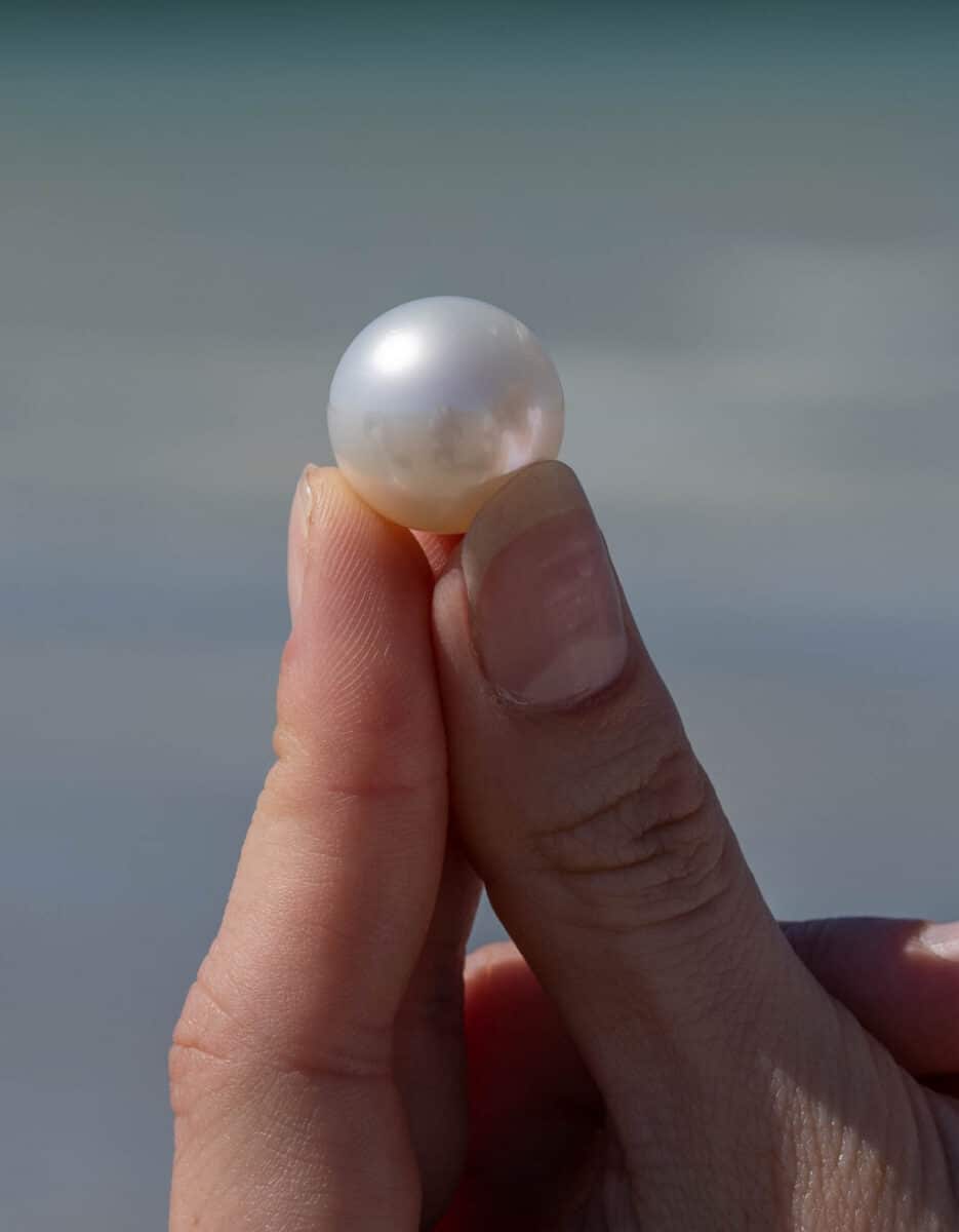 Hawkesbury Pearl Pendant | 7mm AA grade Australian Akoya Pearl | Pearls ...