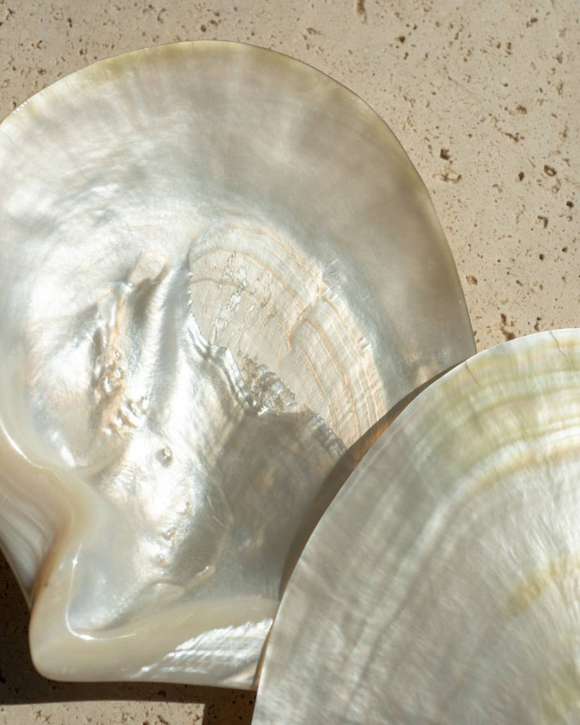 Polished Mother of Pearl Shell | Pearls of Australia