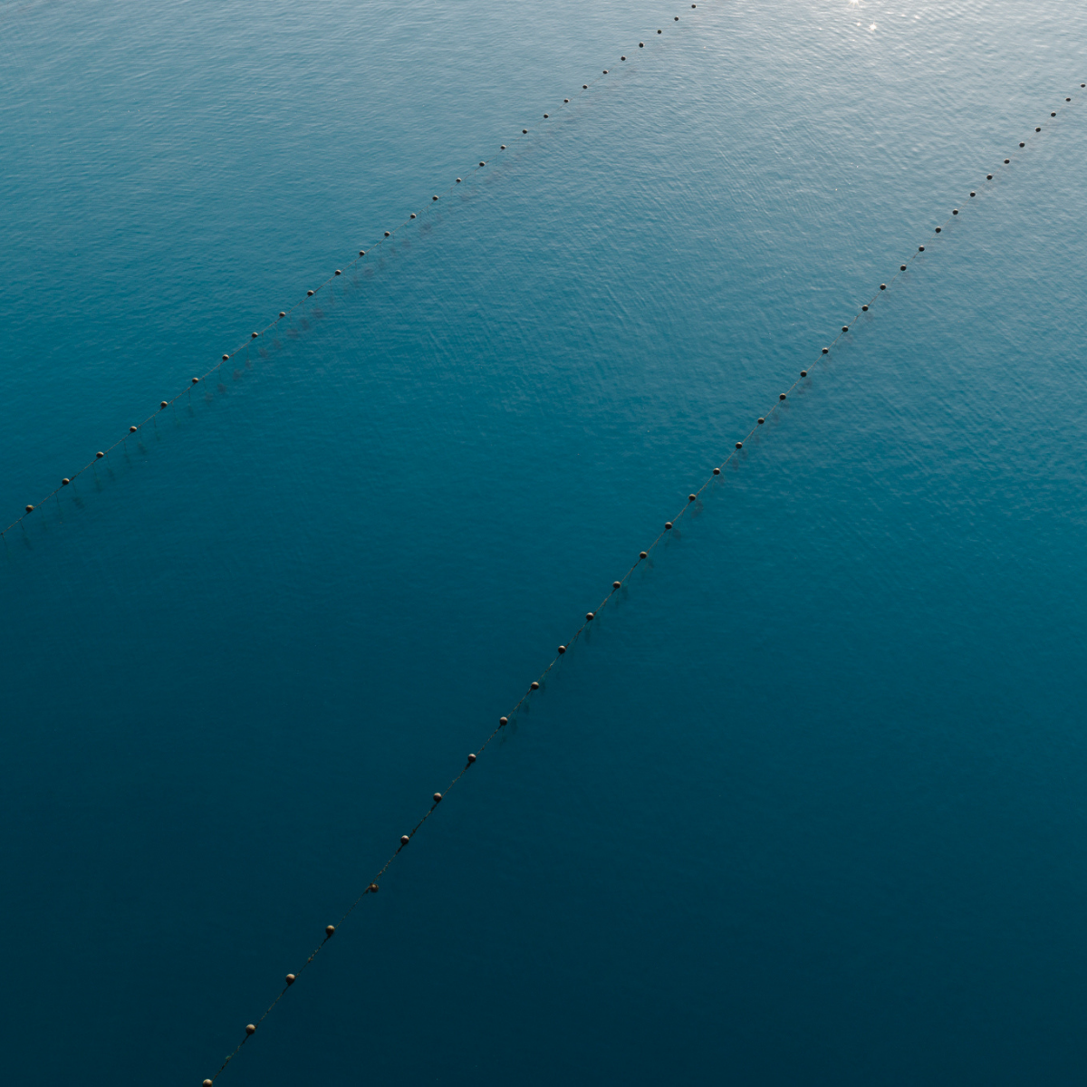 Everything you need to know about South Sea pearls | Pearls of Wisdom ...