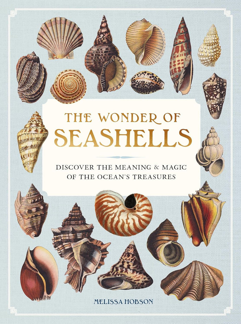 The Wonder of Seashells: Discover the Meaning and Magic of the Ocean’s ...